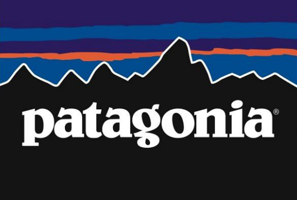 Patagonia Competitors Analysis - Business Chronicler